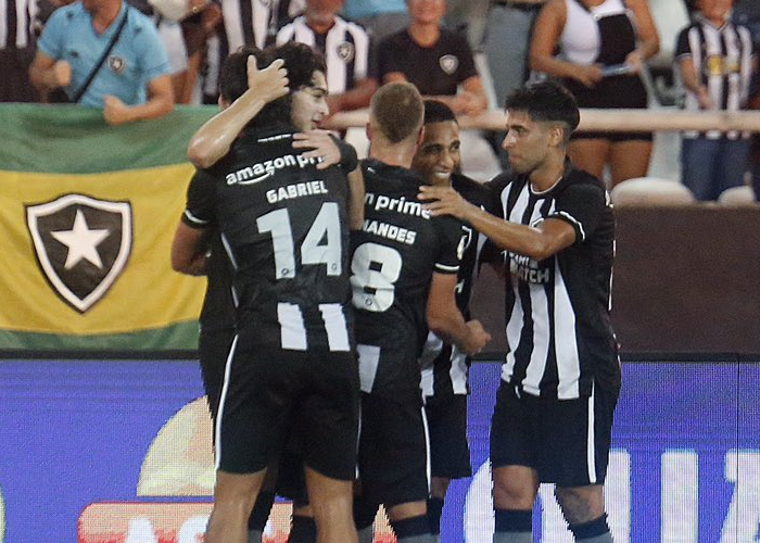 Botafogo La Decepción Más Grande Del Brasileirao Diario Deportes El